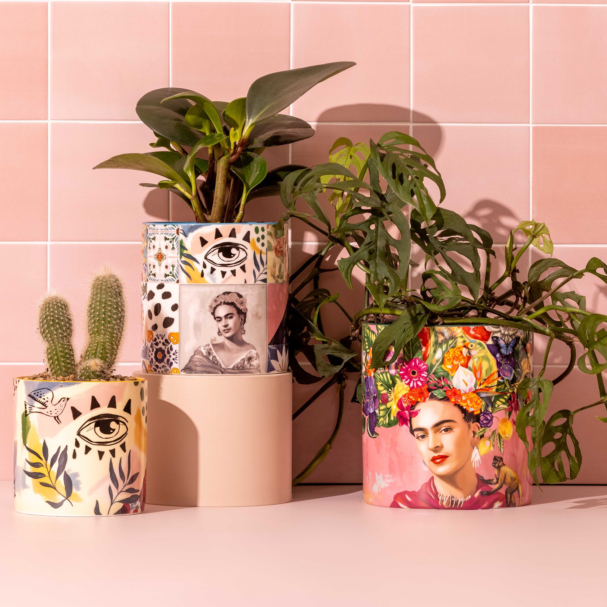 Mexican Themed Gifts – La La Land