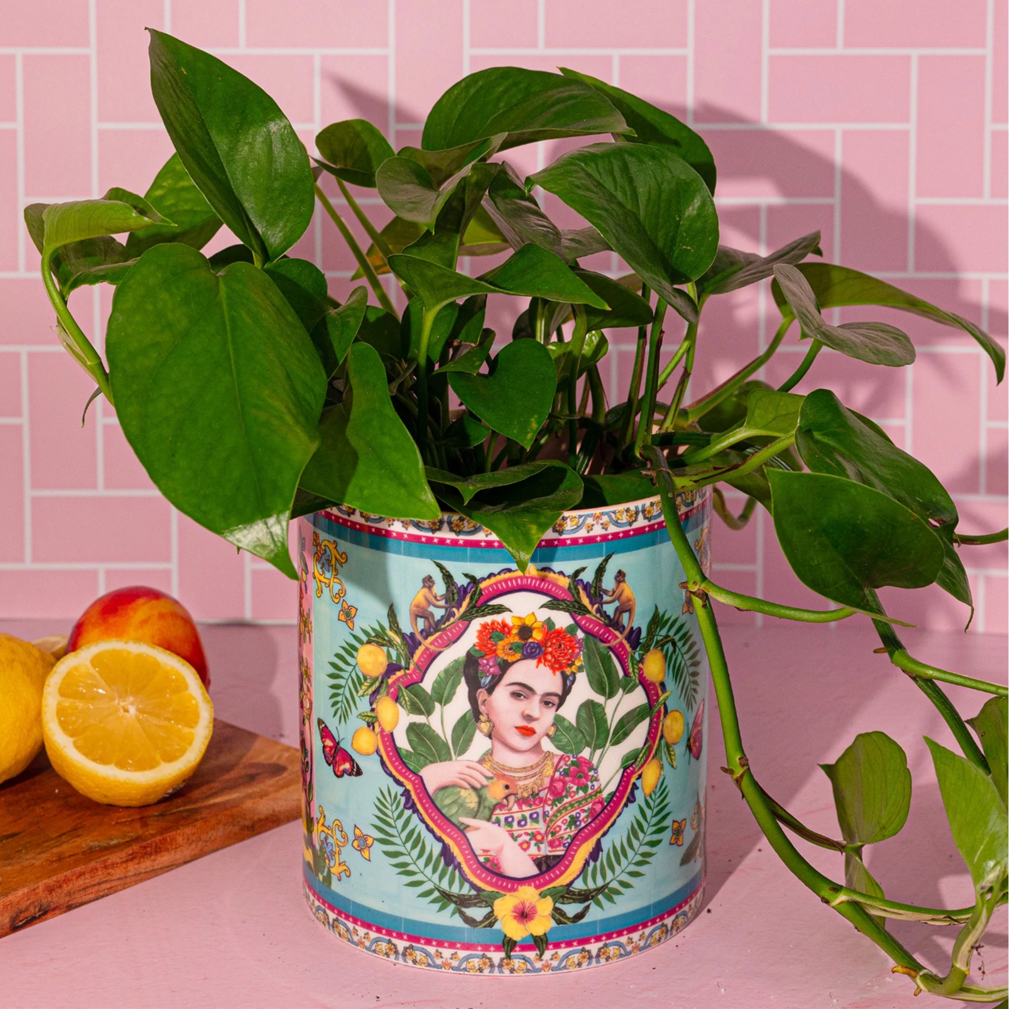 Unique Pots - Buy Unique Pots and Planters Australia Wide – La La Land