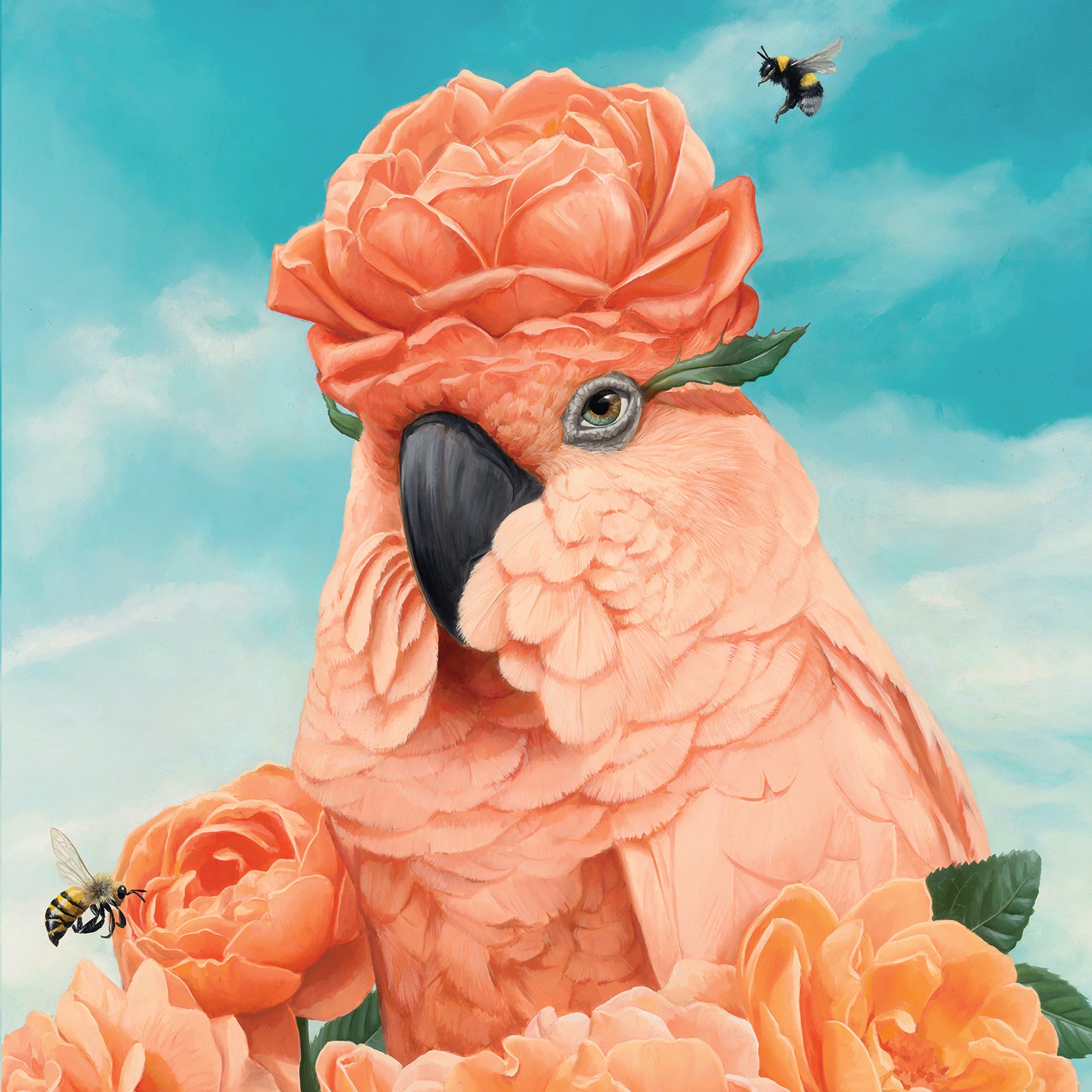 Greeting Card Sanguineness – La La Land