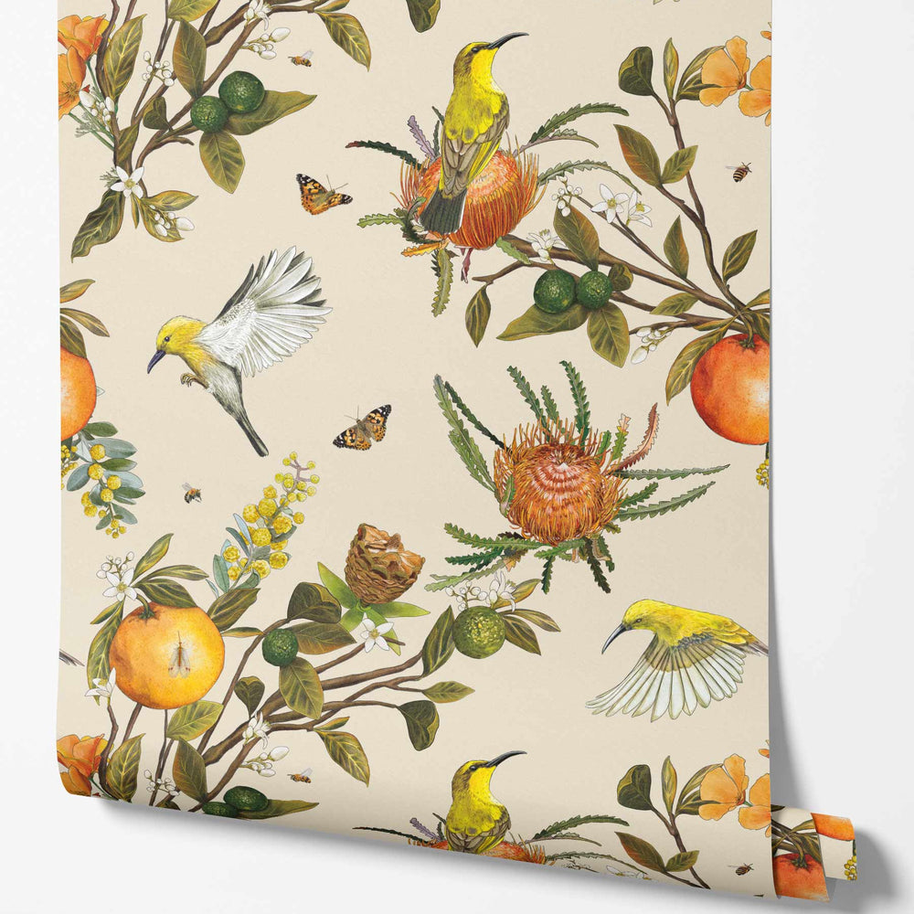 Wallpaper Golden Hour – La La Land